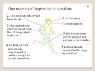 Respiration, types of respiration | PPTX