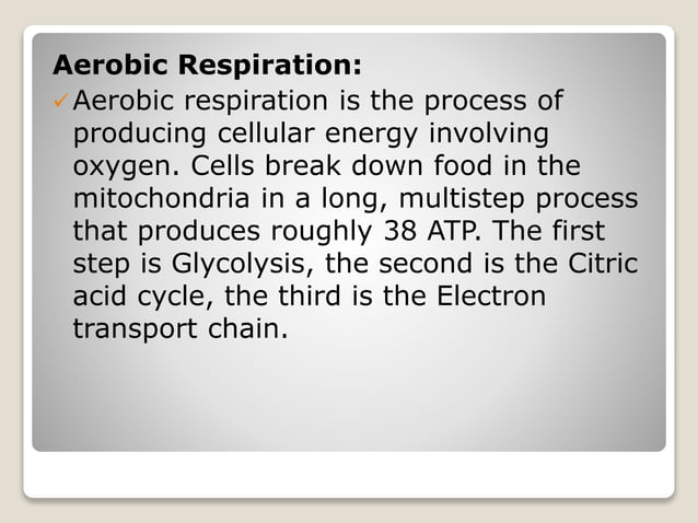 Respiration, types of respiration | PPTX