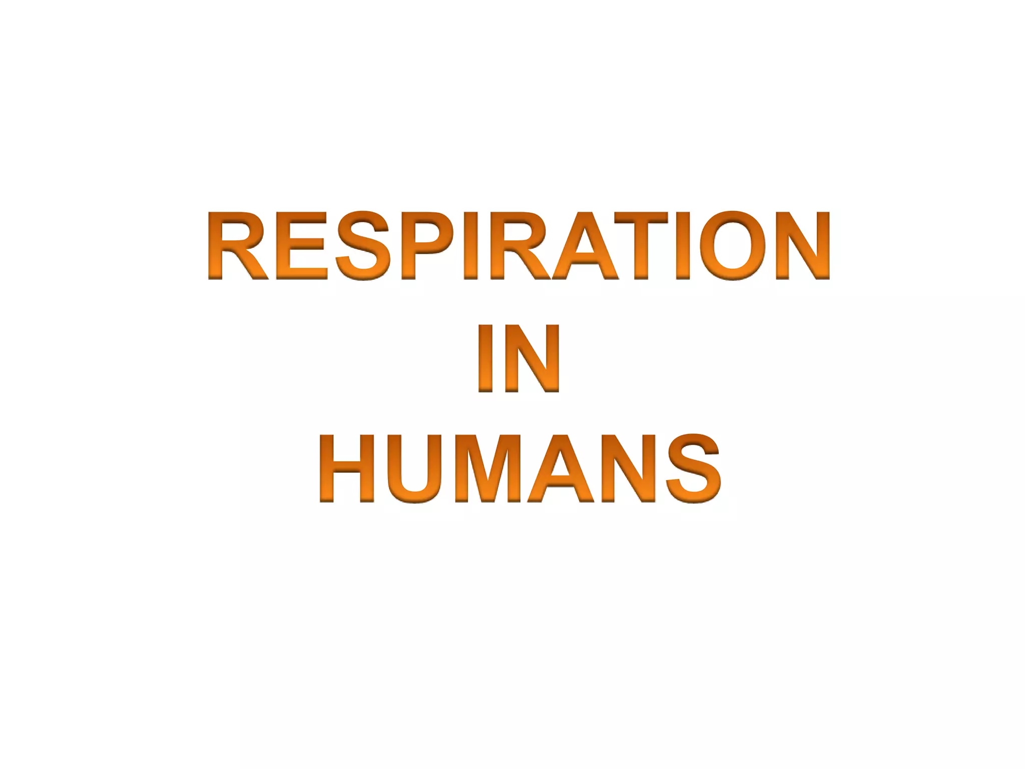 Respiration | PPTX