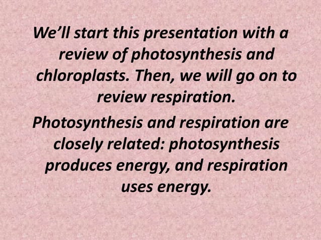 Respiration and Photosynthesis | PPT