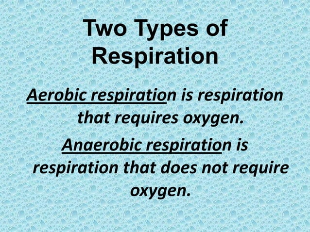 Respiration and Photosynthesis | PPTX | Lung and Respiratory Health ...