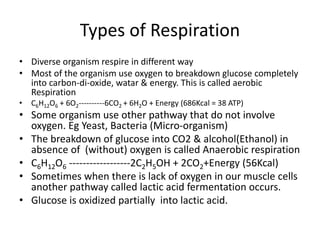 Respiration For class 10 | PPTX