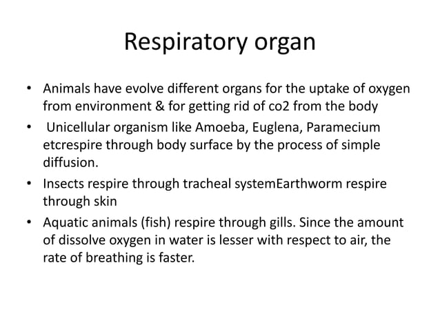 Respiration For class 10 | PPTX