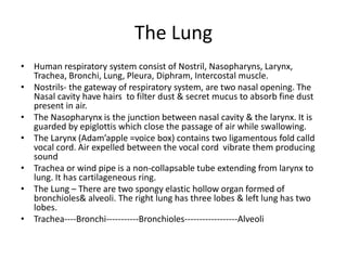 Respiration For class 10 | PPTX