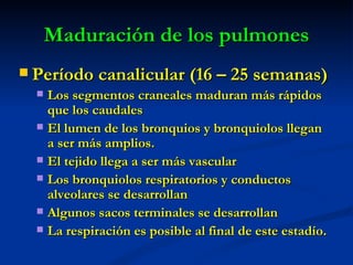 Embriologia del Aparato espiratorio | PPT