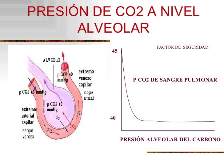 Respiratorio I