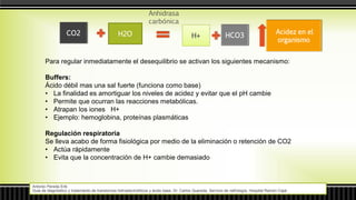 Generalidades: Sistema respiratorio, Insuficiencia Respiratoria Aguda | PDF