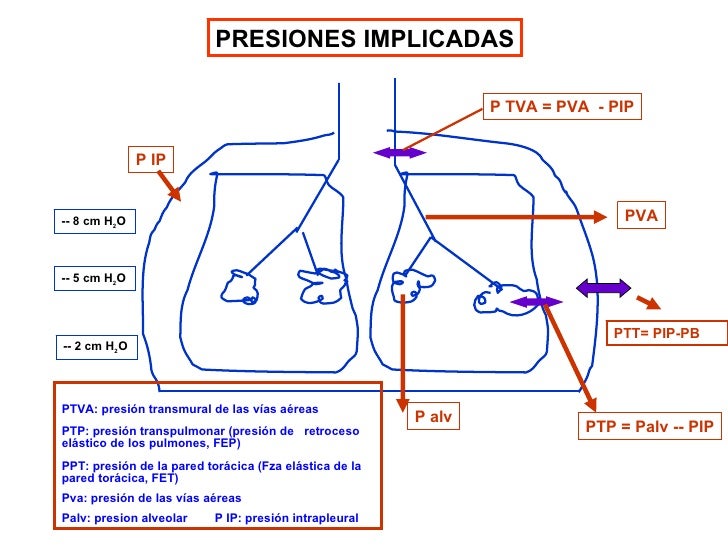 Respiratorio integracioin Dra Salerno