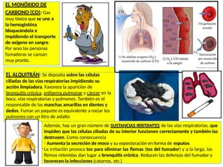 Aparato respiratorio anatomía aplicada 1.pptx