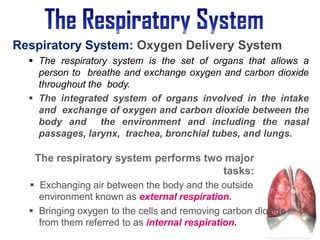Respiratorty System Yatendra Singh | PPT