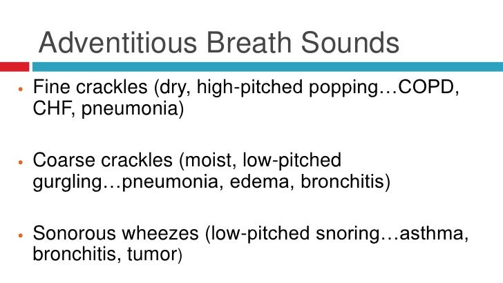 Crackles Lung Sounds