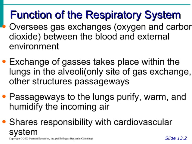Respiratory | PPT