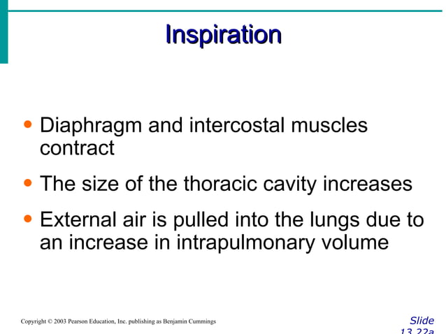 Respiratory | PPT