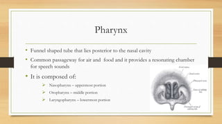 CLINICAL ANATOMY OF RESPIRATORY SYSTEM | PPTX