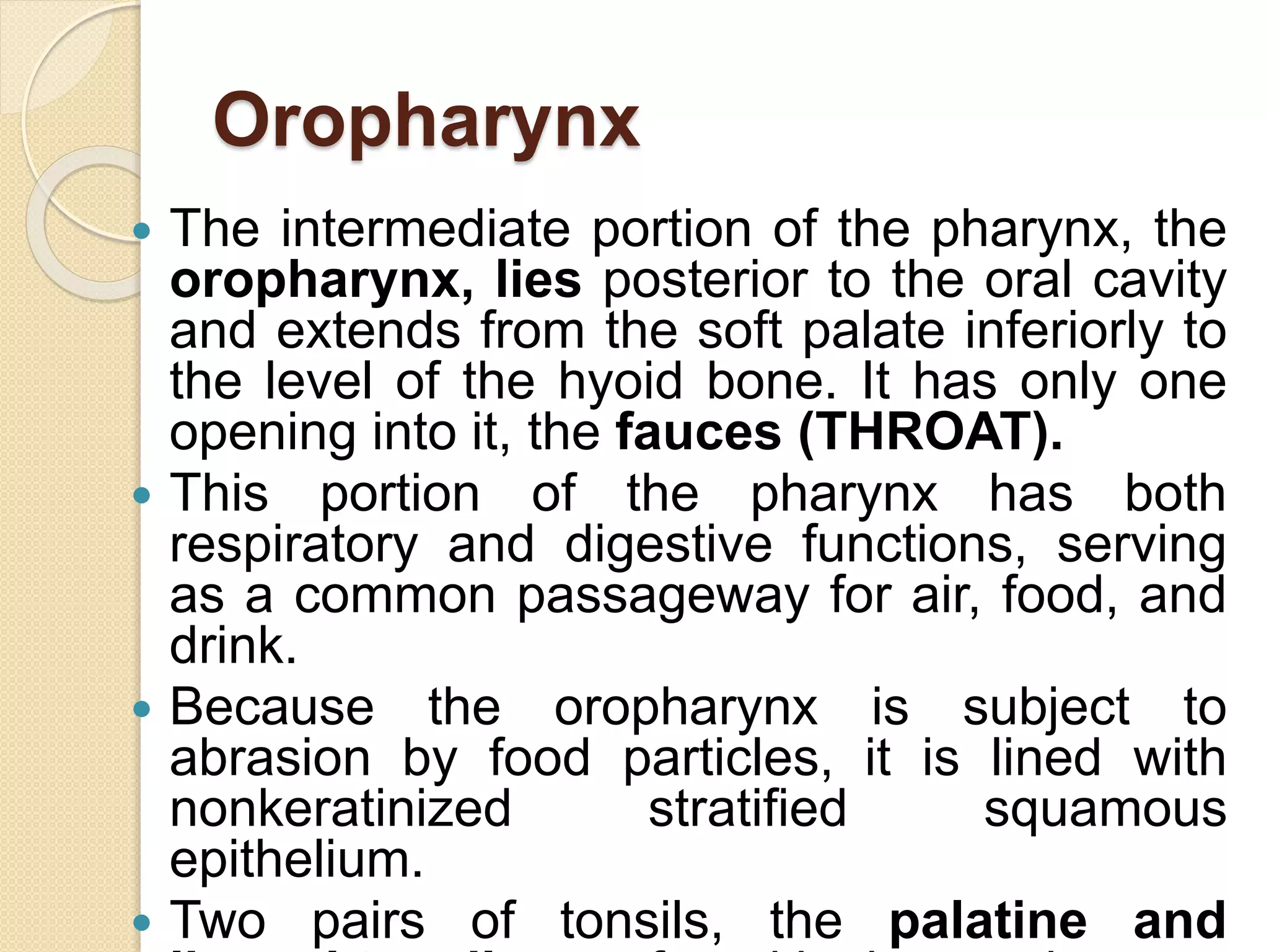 Respiratory | PPTX