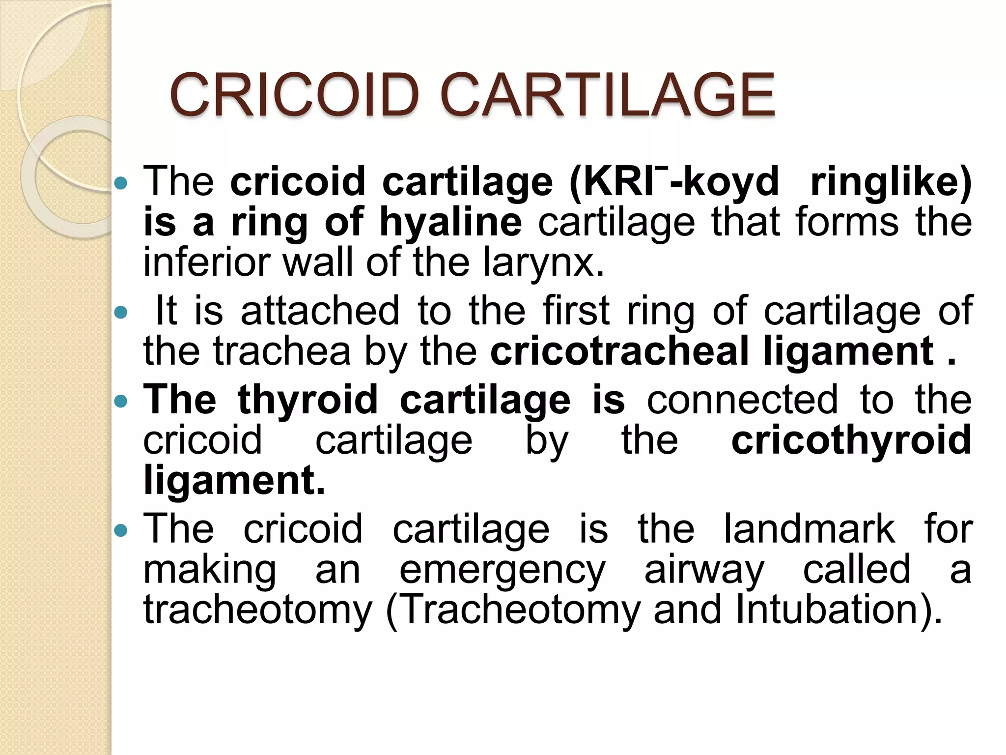 Respiratory | PPTX