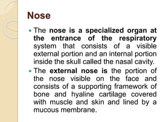 Respiratory | PPTX