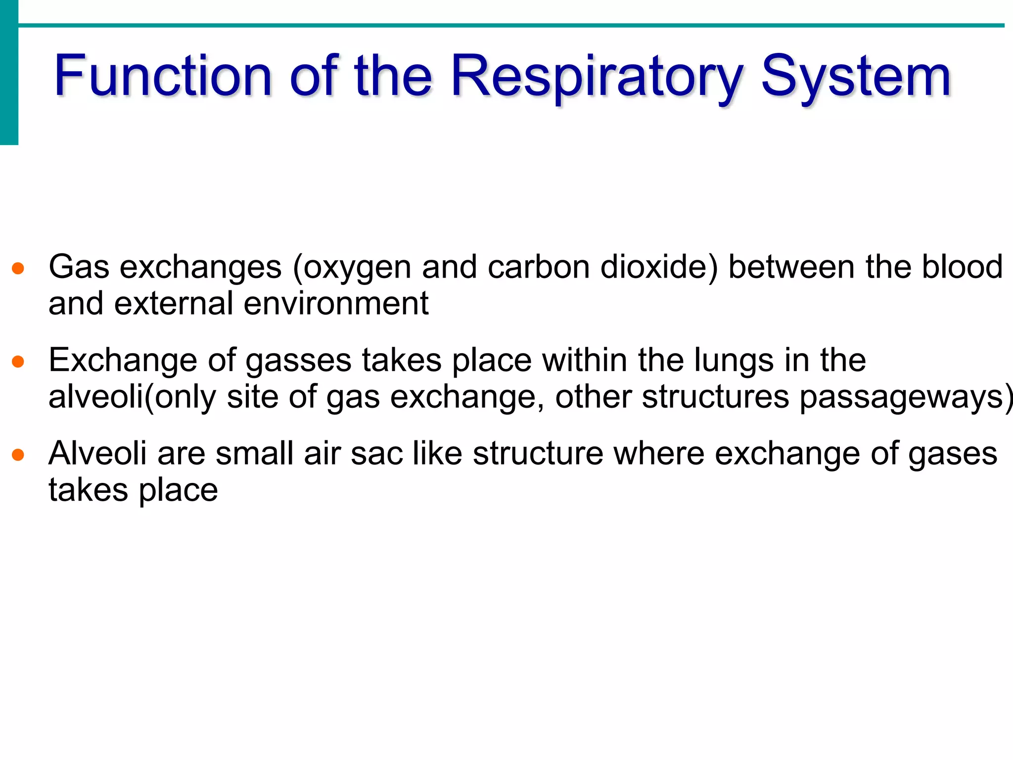respiratory.ppt