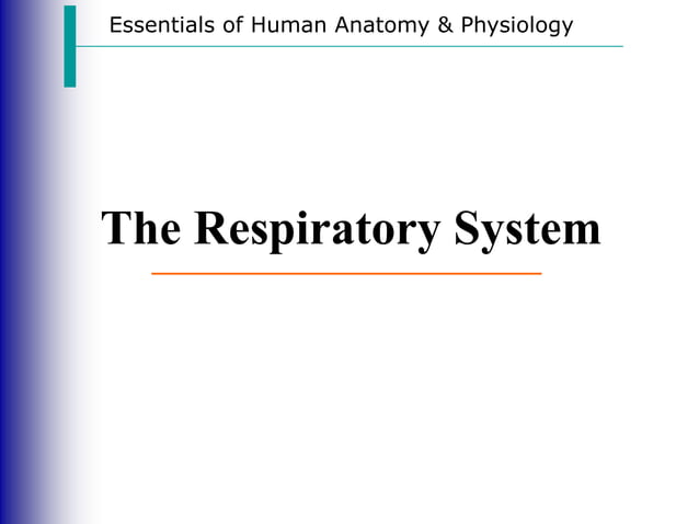 respiratory.ppt