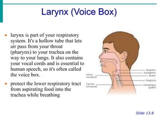 respiratory.ppt