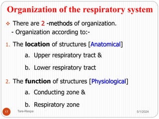 Respiratory System And Ventilation D.r Tariku.pptx