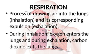 RESPIRATORY .pptx