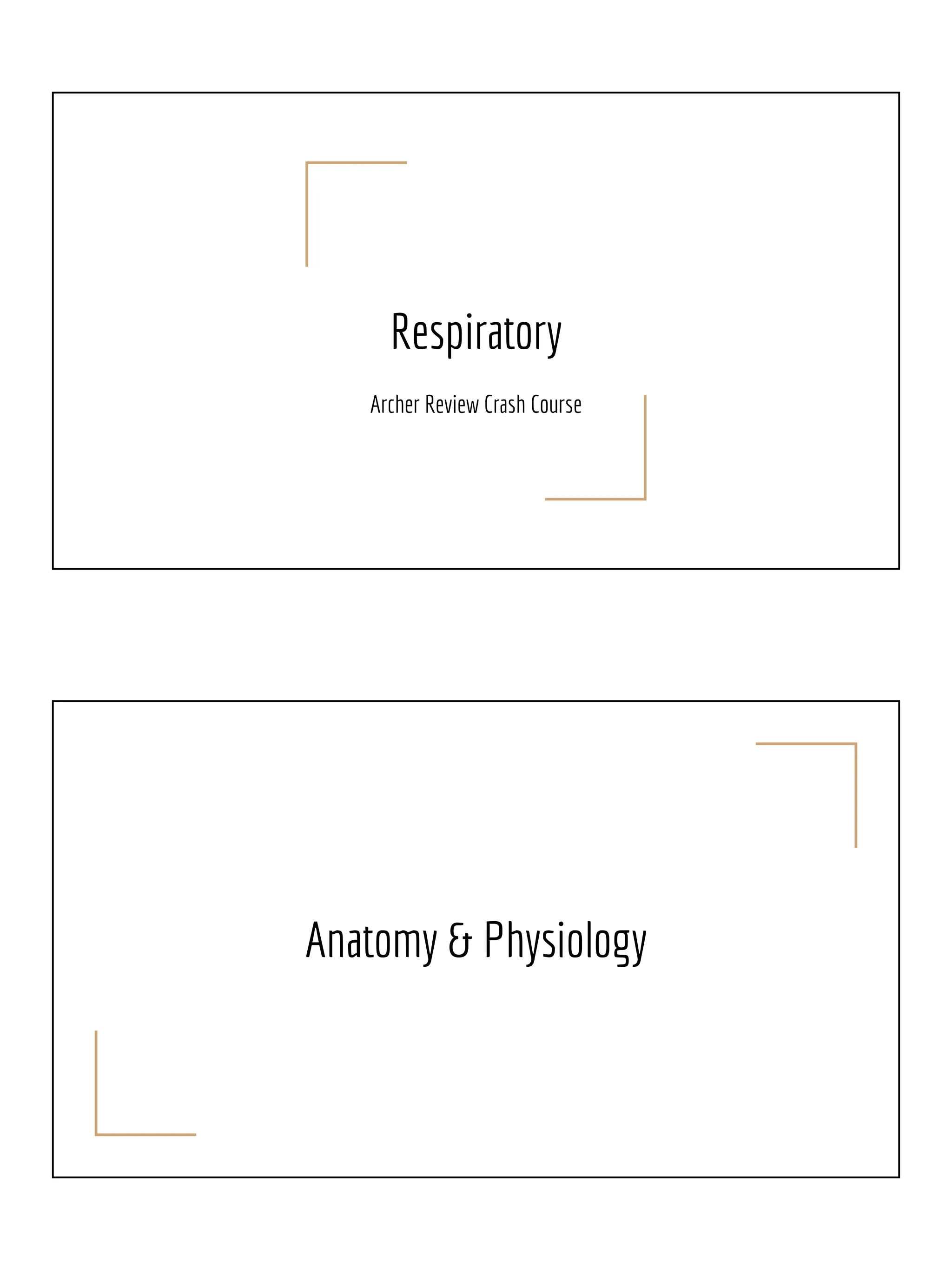 Respiratory System Review and Disorders. | PDF