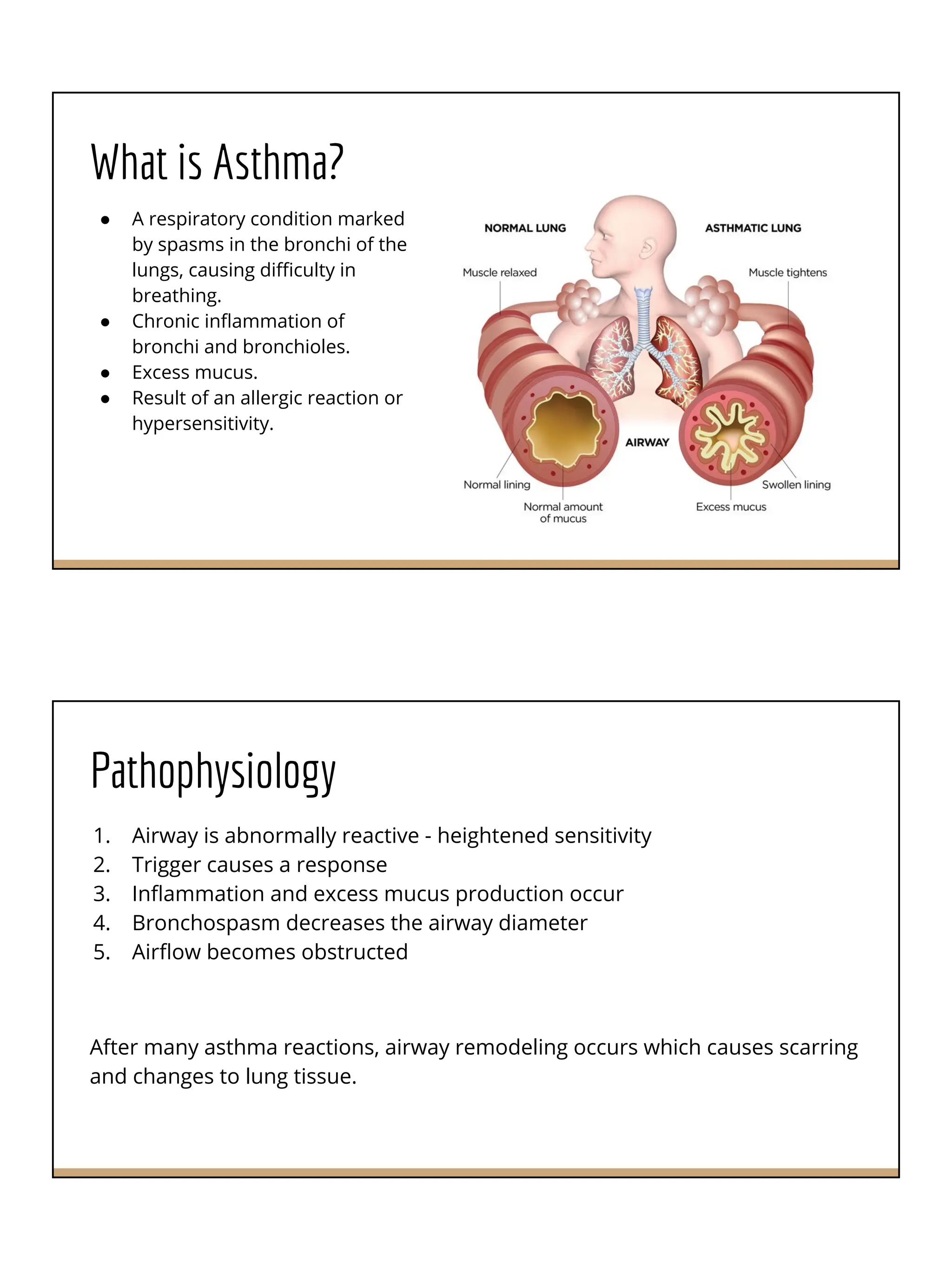 Respiratory System Review and Disorders. | PDF
