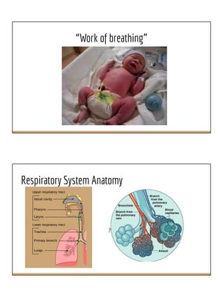 Respiratory System Review and Disorders. | PDF