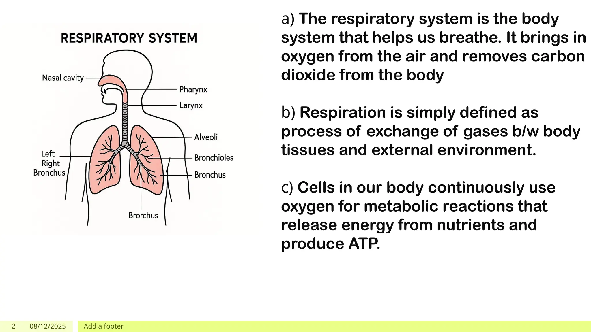 RESPIRATORY.pptx respiration human body rtc | PPTX