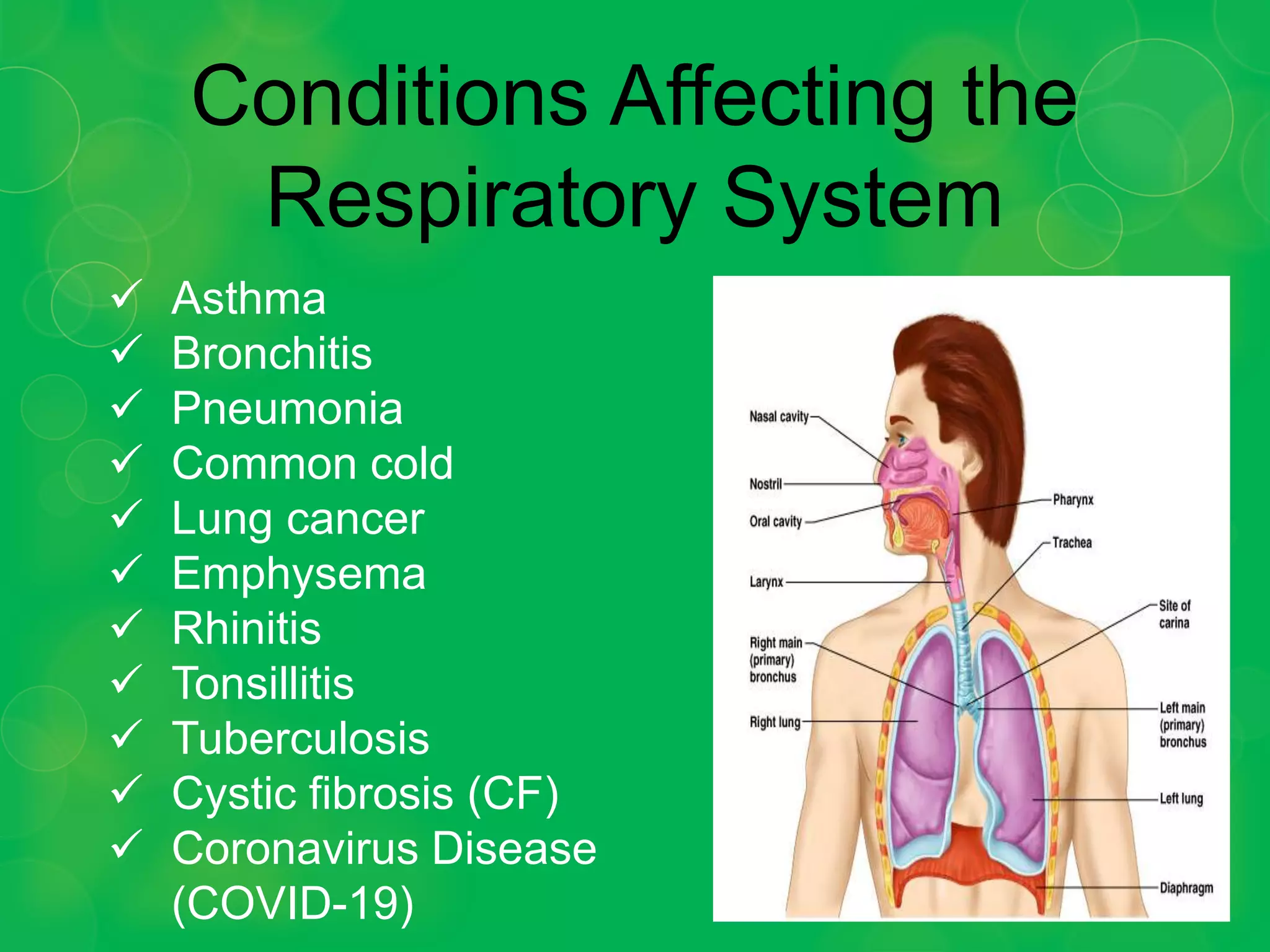 Respiratory-and-Circulatory-Diseases.ppt