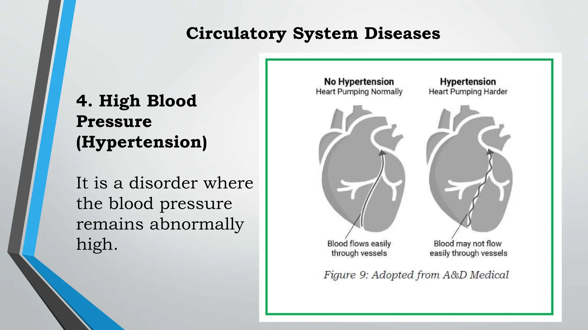 Respiratory-and-Circulatory-System-Diseases.pptx