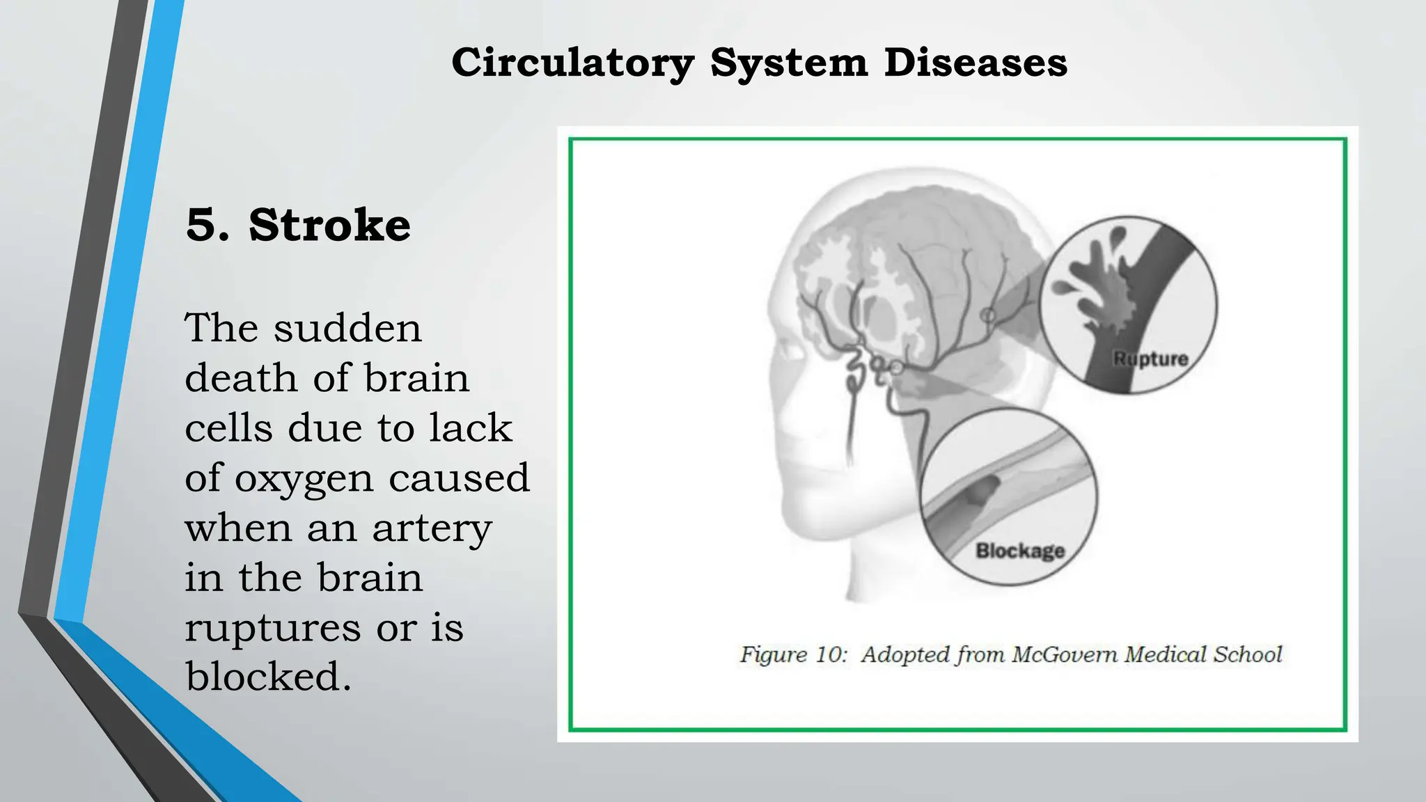 Respiratory-and-Circulatory-System-Diseases.pptx