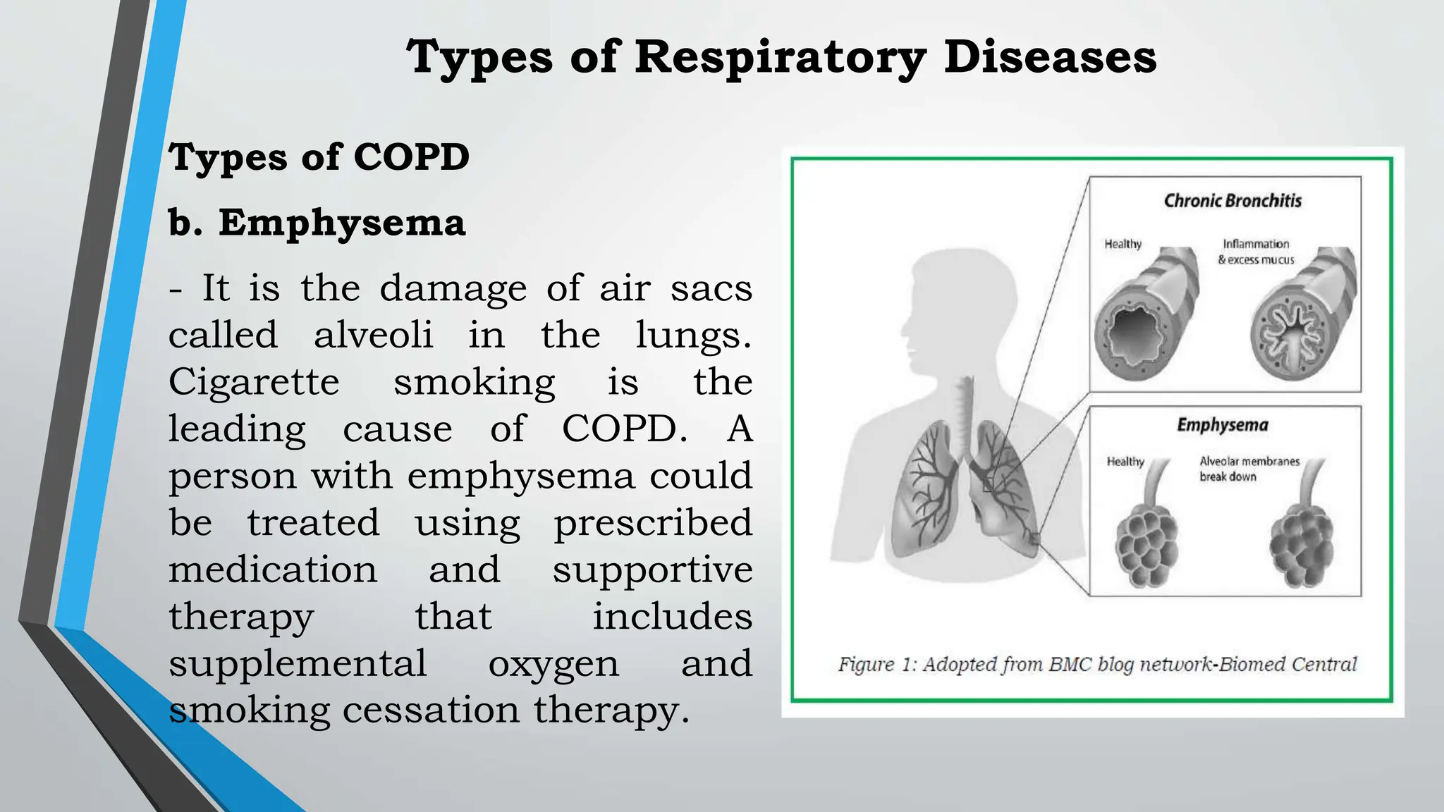 Respiratory-and-Circulatory-System-Diseases.pptx
