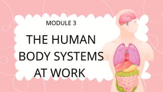 Respiratory-circulatory-and-digestive-system.pptx
