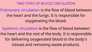 Respiratory-circulatory-and-digestive-system.pptx