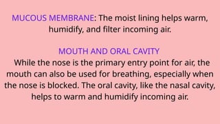 Respiratory-circulatory-and-digestive-system.pptx