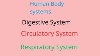 Respiratory-circulatory-and-digestive-system.pptx