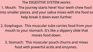 Respiratory-circulatory-and-digestive-system.pptx