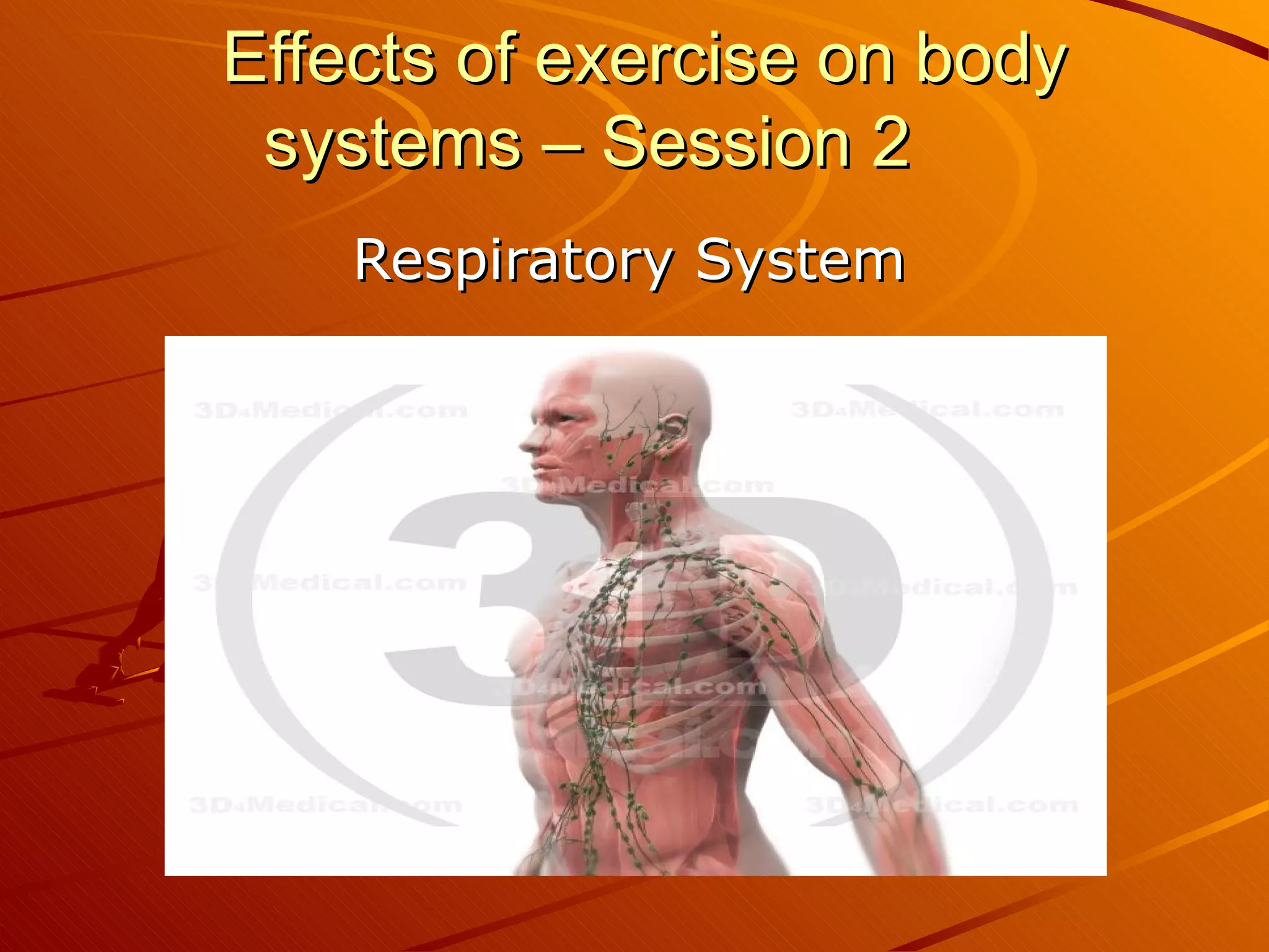 Respiratory effects of exercise | PPT