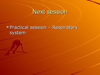 Respiratory effects of exercise | PPT