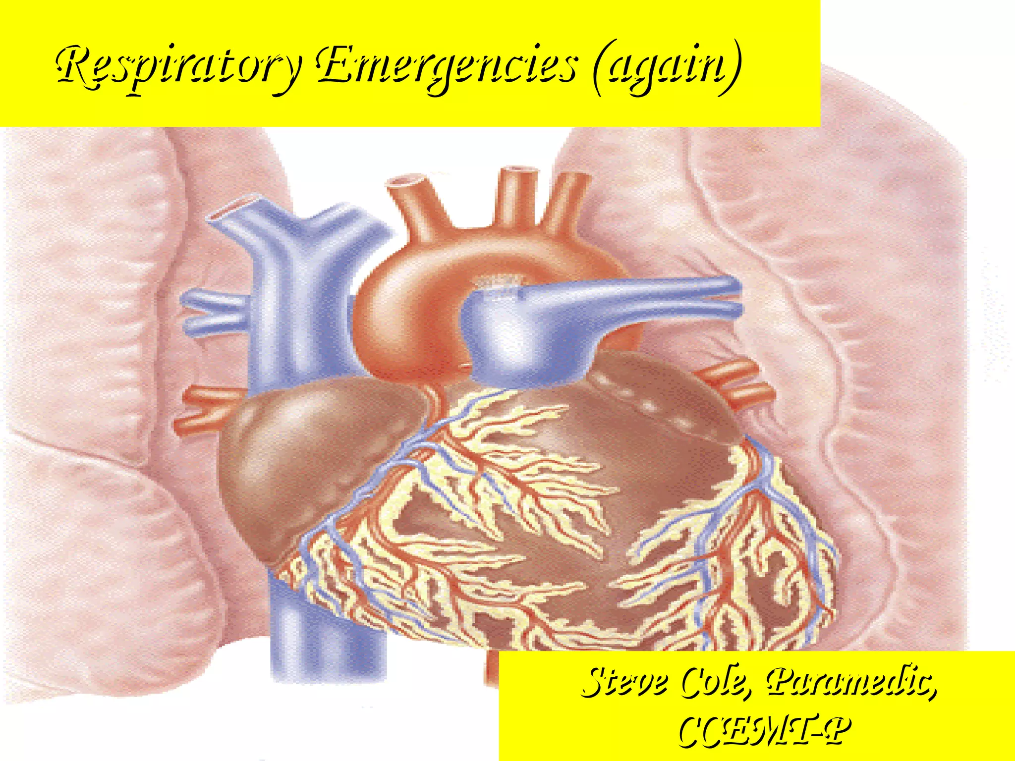 EMS- Respiratory Emergencies (Again) | PPT