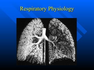 EMS- Respiratory Emergencies (Again) | PPT