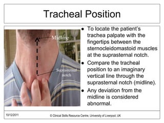 Respiratory Exam | PDF