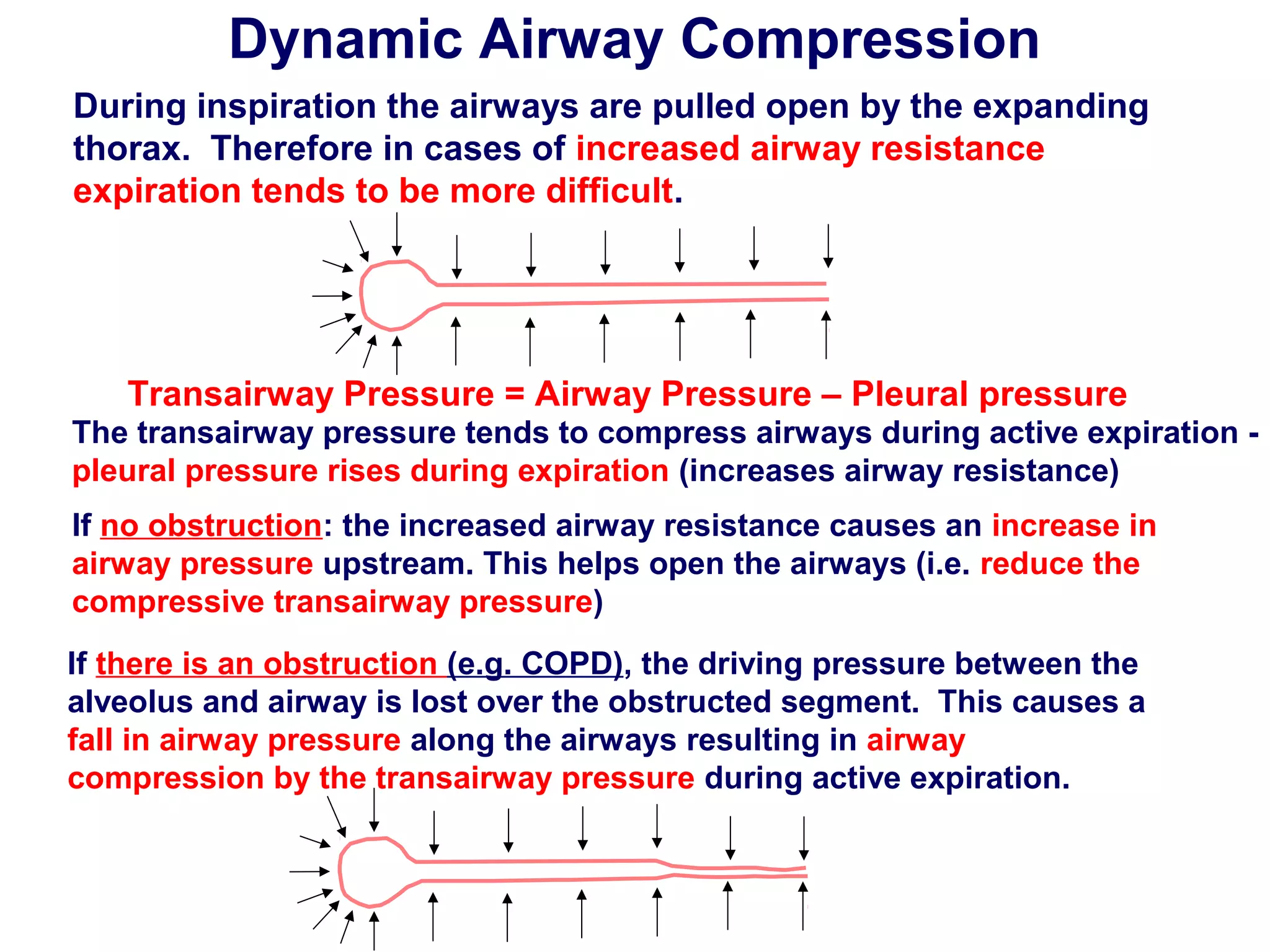 Respiratory physiology-lecture-1 2010 | PPT