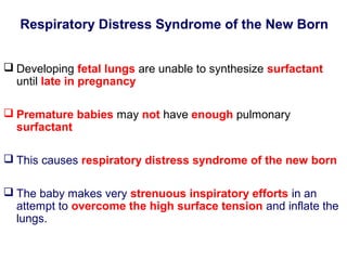 Respiratory physiology-lecture-1 2010