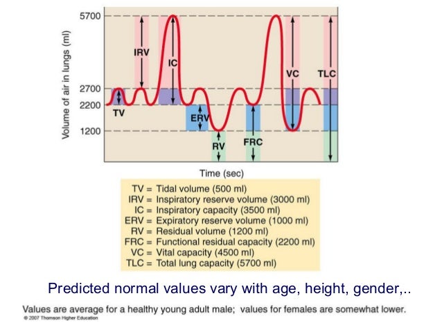 Respiratory physiology-lecture-1 2010