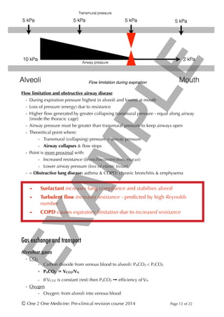 Respiratory Sample | PDF | Lung and Respiratory Health | Diseases and ...