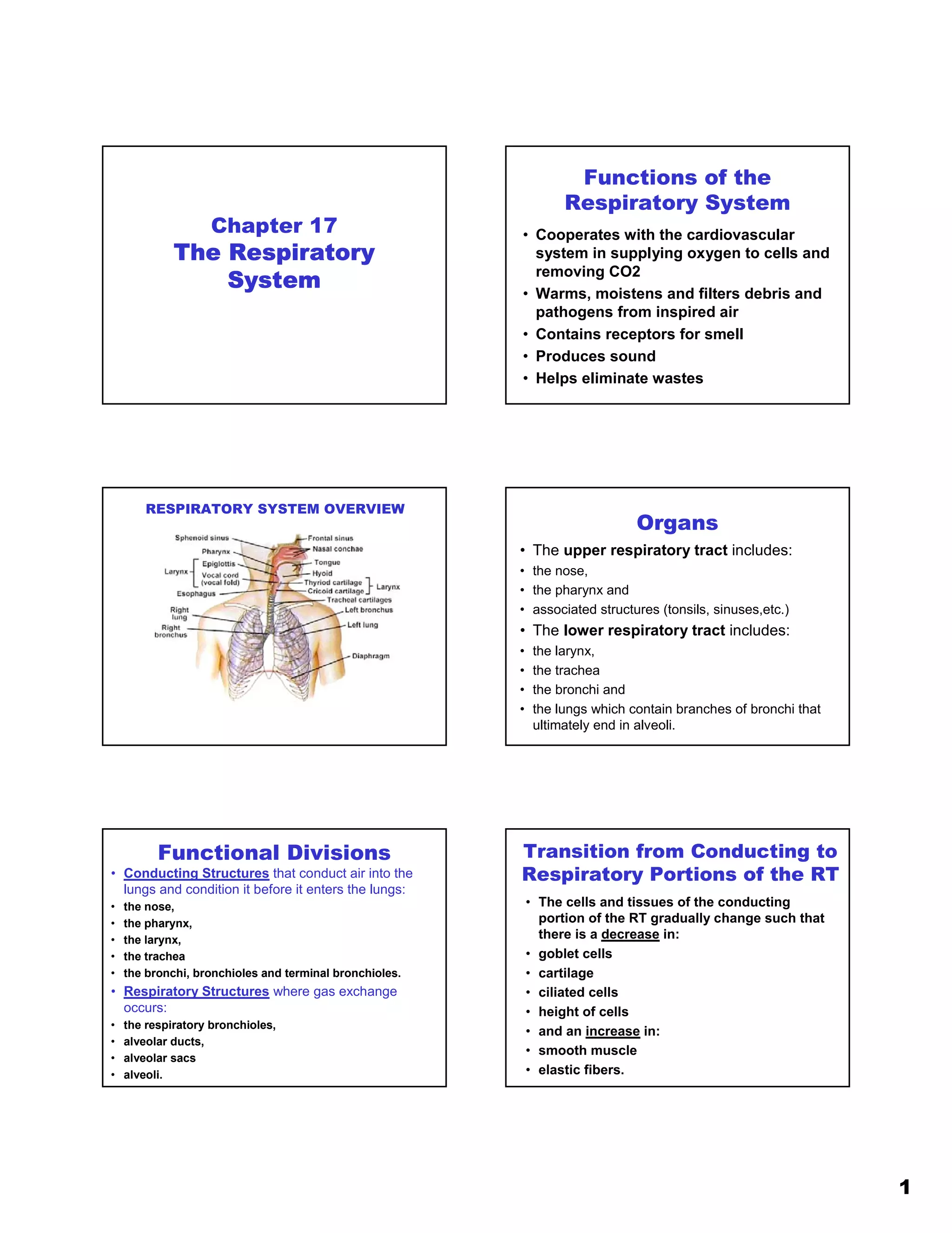 Respiratory System | PDF