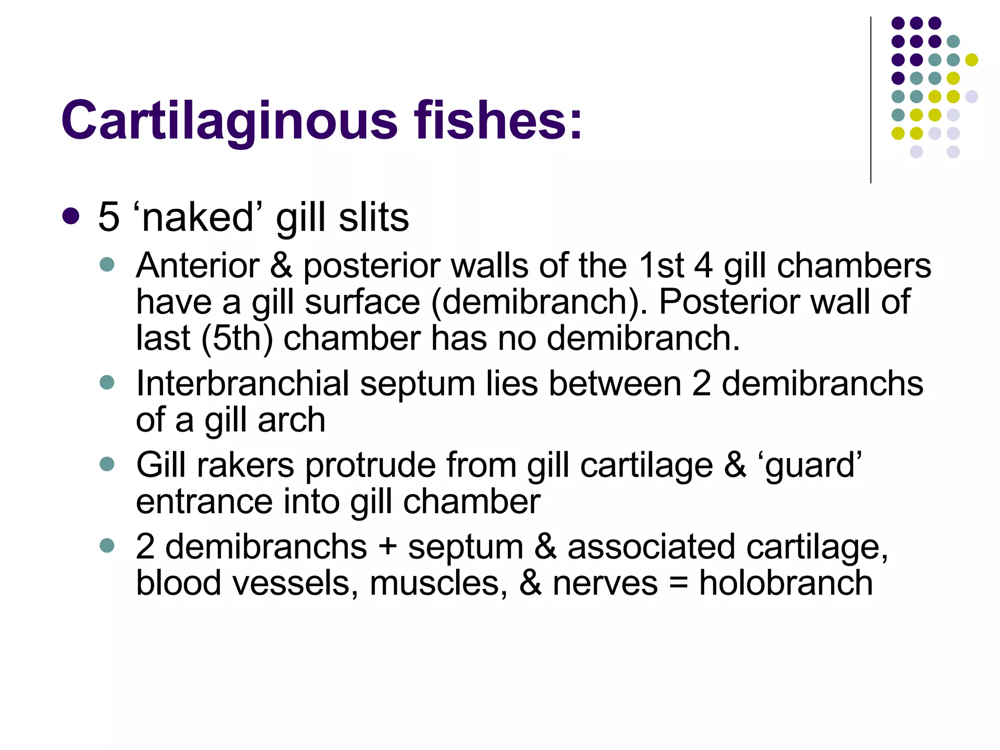 Respiratory System | PPT